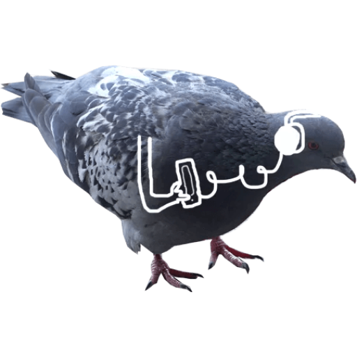 Sticker Maker - The pigeon memes